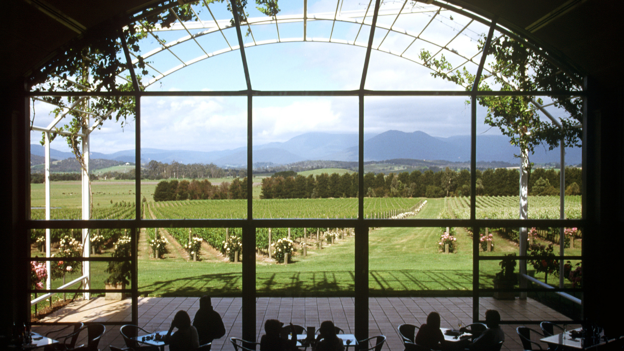 Daytripping to Virginia Wineries - Chesterbrook Woods Neighborhood ...